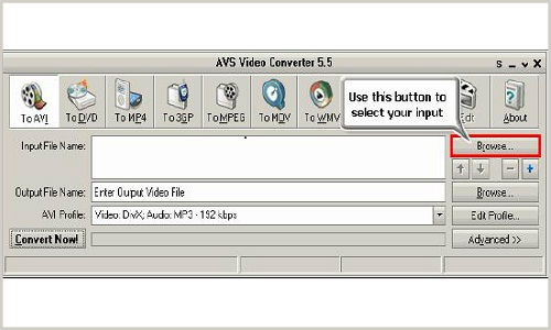 DVD | Video | AVS Video | Download | DVD File Installation - Gizbot News