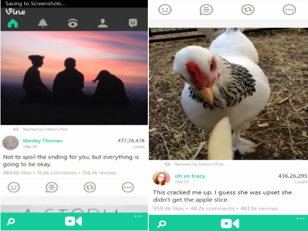 Vine Receives Update For Windows 8.1: Cool New Features Added - Gizbot News