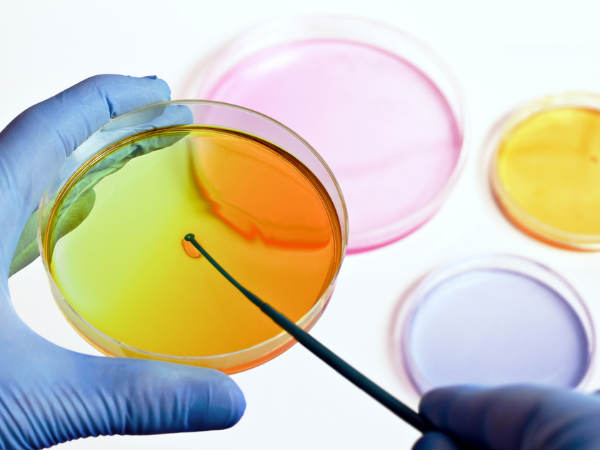 New fuel cells to turn urine into electricity - Gizbot News