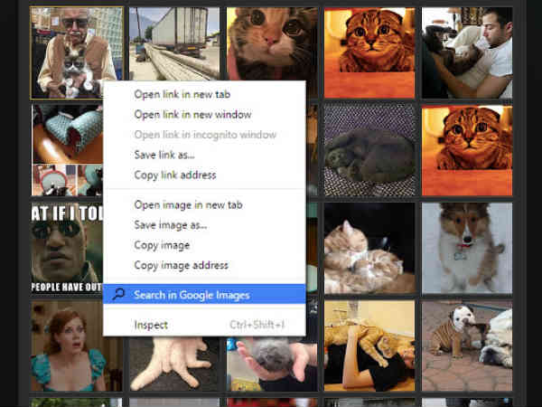 8 must have browser add-ons to use for your image searches - Gizbot News