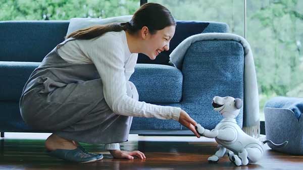 Sony Robotic Dog Aibo Can Now Perform New Tasks - Gizbot News