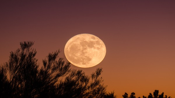 June Full Moon Explained: June Supermoon And Date, Time In India ...