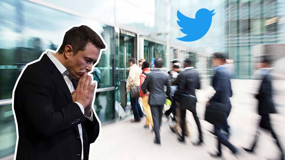Twitter Calling Back Some Employees It Fired "By Mistake": Musk Missing ...