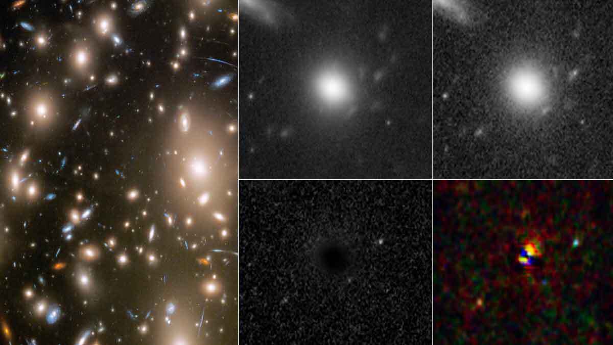 NASA Shares Extremely Rare Star Explosion Chronicled By Hubble ...