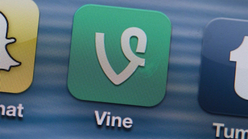 After Twitter, Elon Musk Sets His Sights on Vine: Is Social Media The ...
