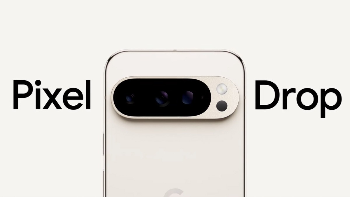Google's October 2024 Pixel Drop Is Rolling Out: Underwater Photography ...