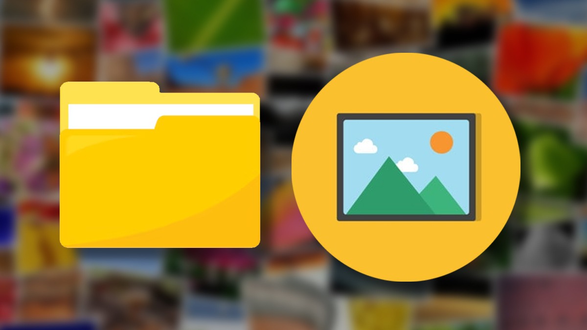 Advanced Techniques for Organising Your Photo Library Efficiently ...