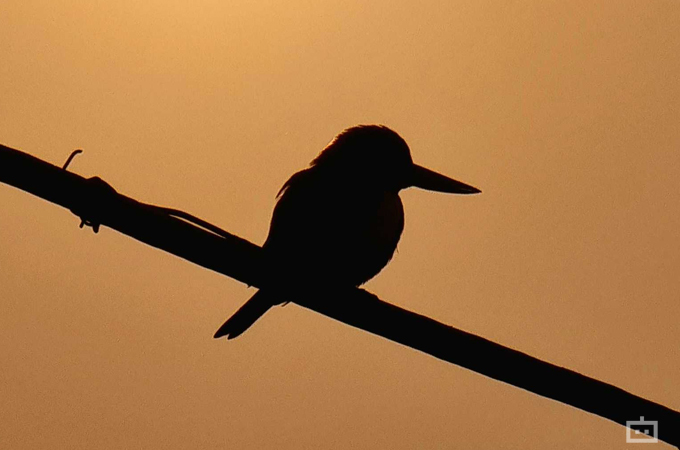 In Pics: Samsung Galaxy S21 Ultra 5G Camera Samples - Gizbot