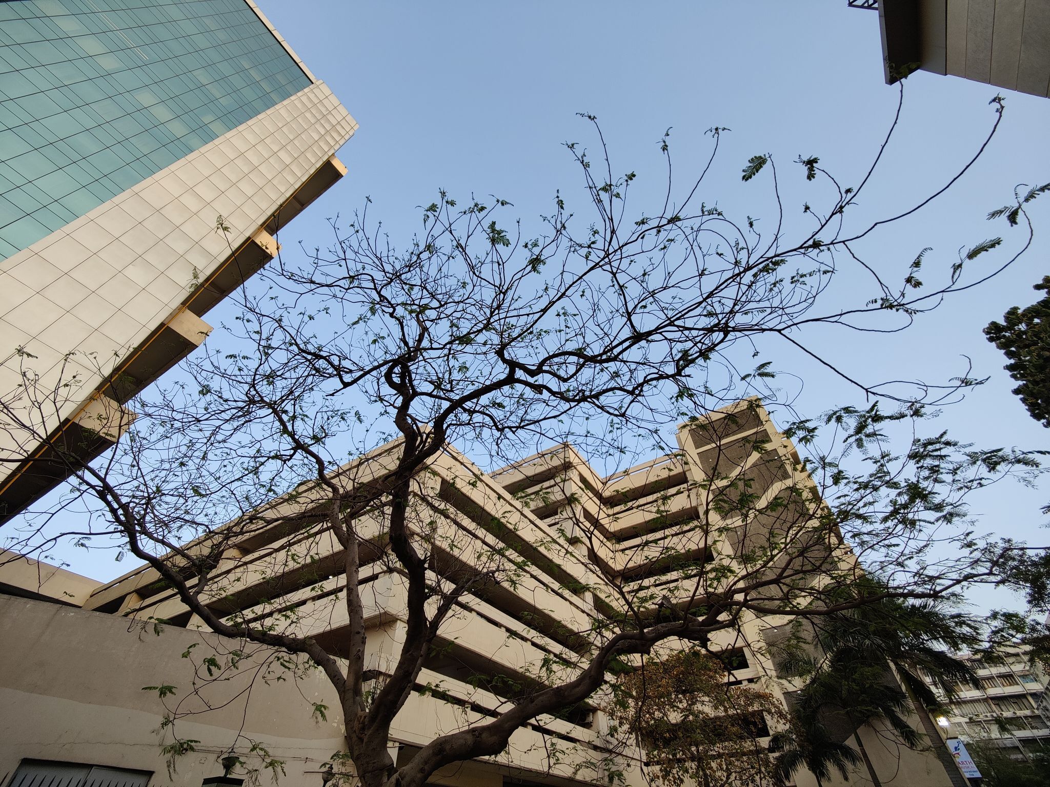 In Pics: OnePlus 9 Pro Camera Samples - Gizbot