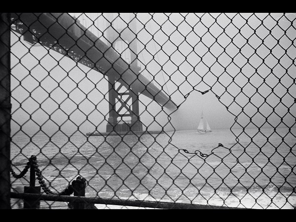 the amazing perfect timing photography photos - Tamil Gizbot