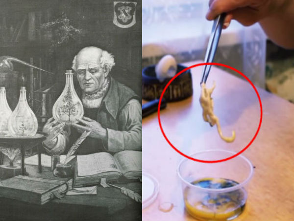 This Russian Man Almost Successfully Created A Homunculus - Tamil Gizbot