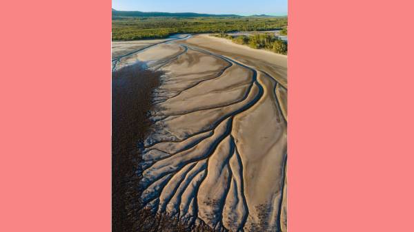 யாருமே இதனை உண்மை என்று நம்ப மாட்டர்கள்: ஏரியில் படர்ந்திருக்கும் அதிசய ...