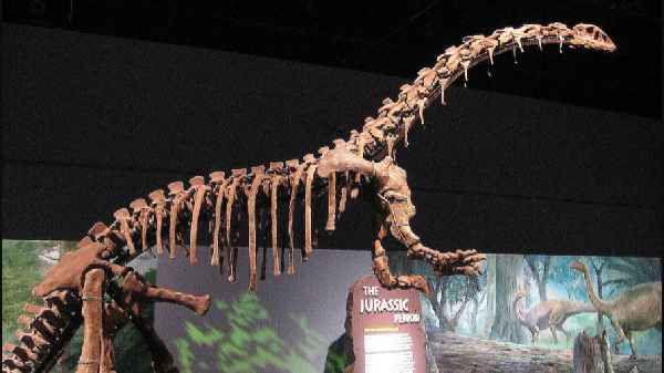 Paleontologists discover nearly complete Lufengosaurus dinosaur ...