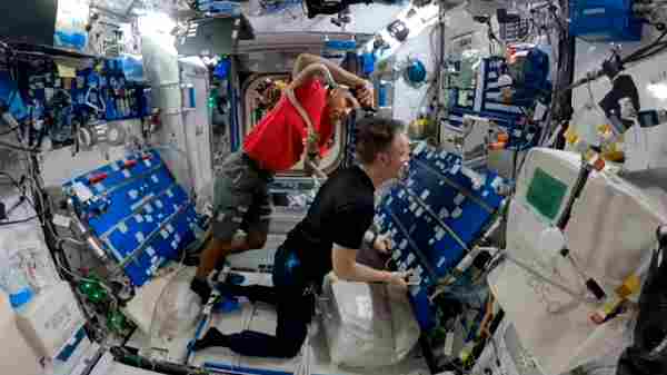 This Is How NASA Astronauts Get Haircut in Space Salon Aboard The ...